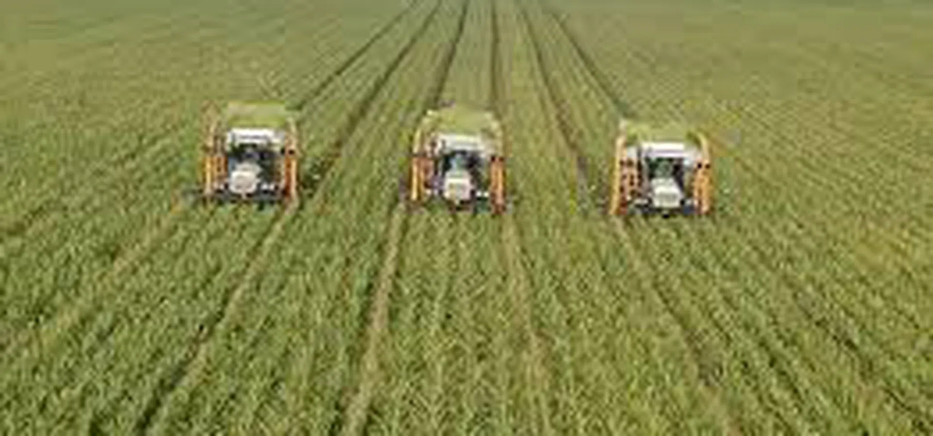 Офшорните фирми няма да могат да купуват земеделска земя Profit Bg