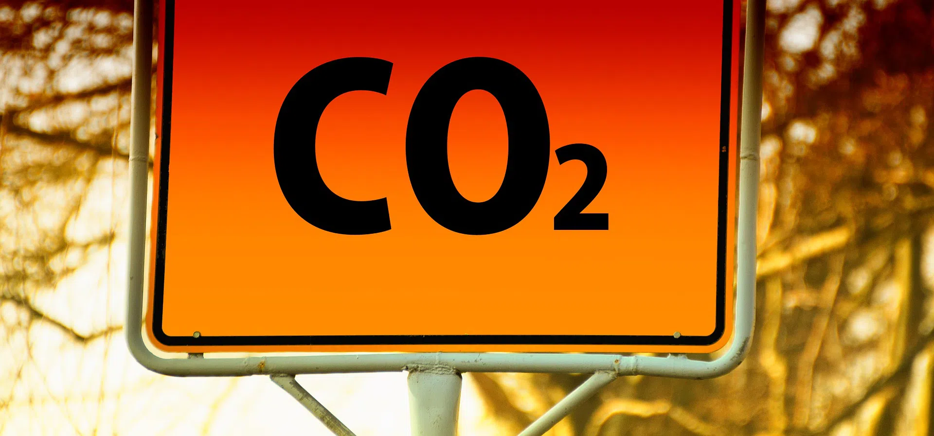 Изпълняват ли корпорациите обещанията си за намаляване на емисиите Profit Bg