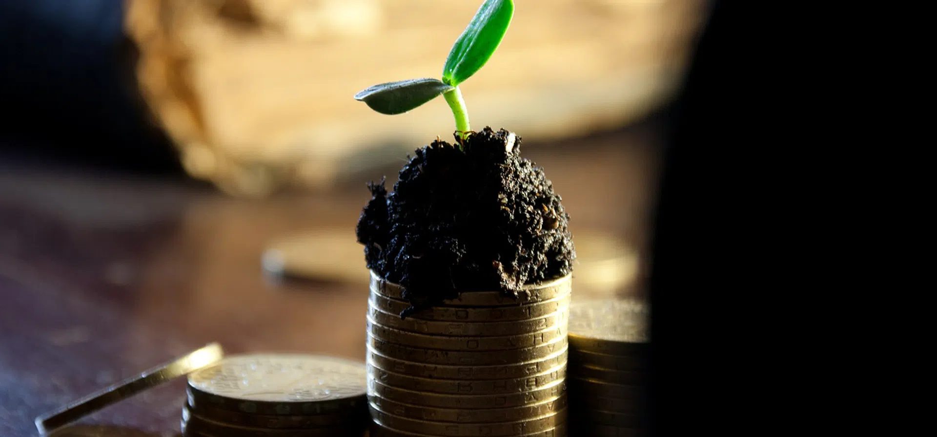 Кои български компании обявиха разпределение на дивидент Profit Bg