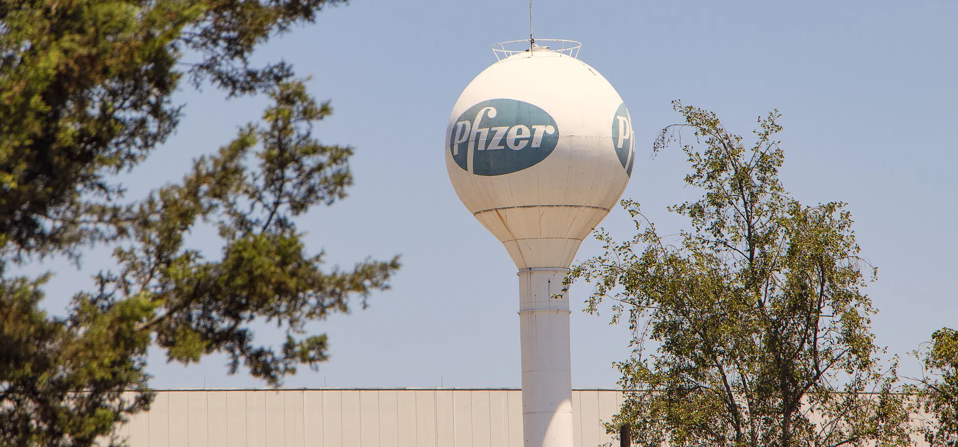 Pfizer купува Arena Pharmaceuticals за 6.7 милиарда долара | Profit.bg