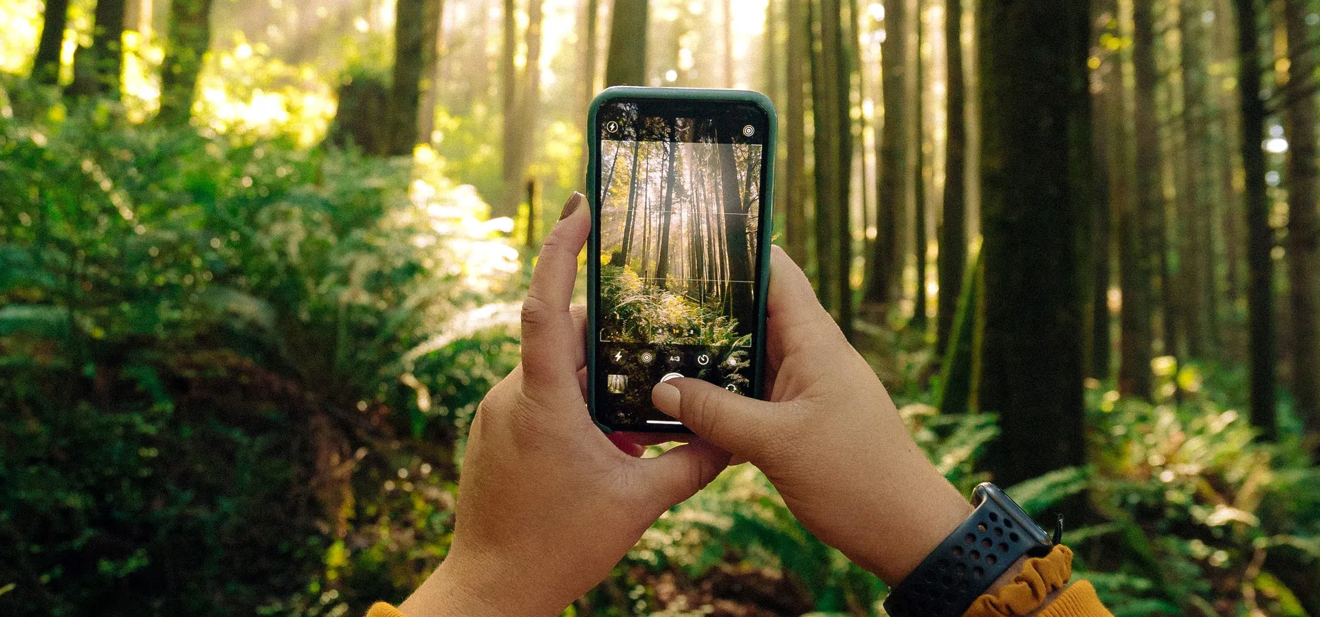 Ново издание на кампанията на eMAG „Направи място за по-добро утре ...