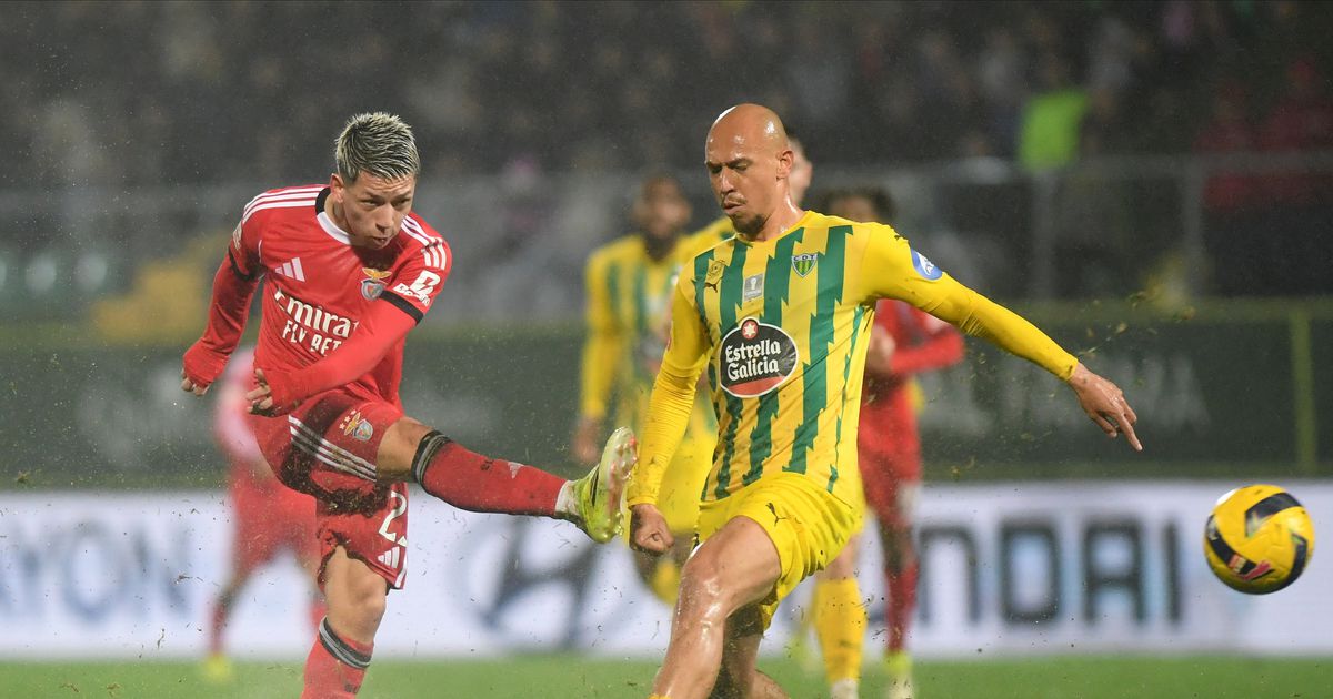 As melhores imagens do Tondela-Benfica | A Bola