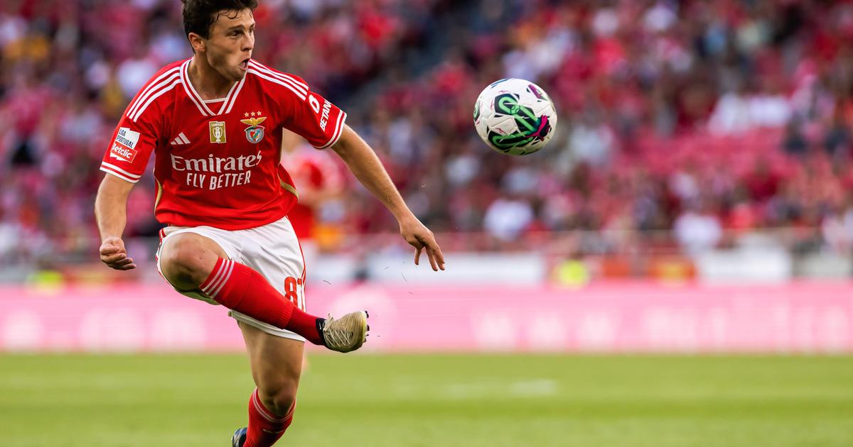 Benfica: «João Neves é um animal de competição» | A Bola