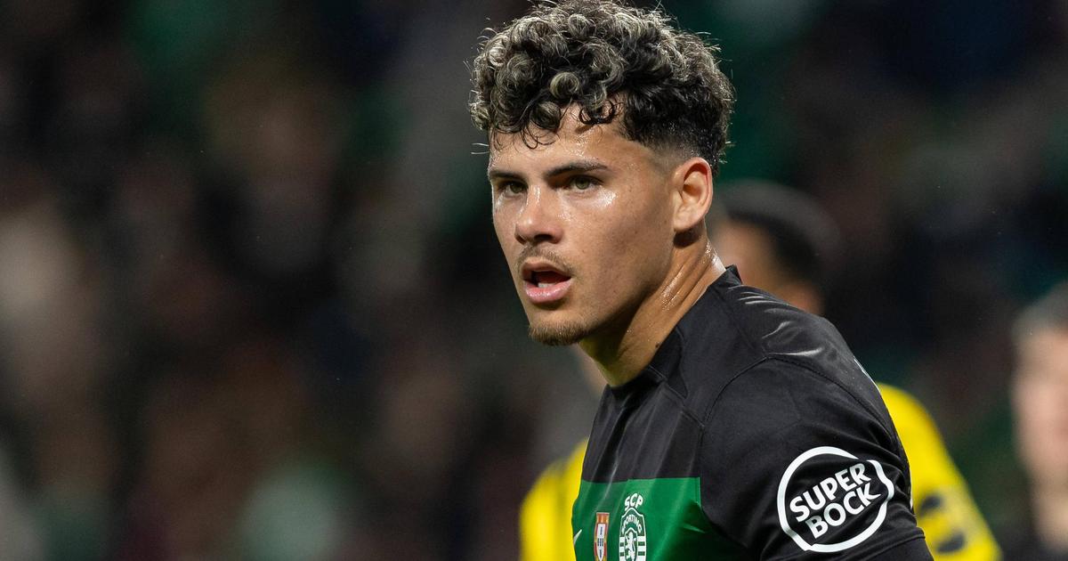 Maxi Araújo: «Lutámos sempre até ao final e vamos dar o máximo na Luz ...