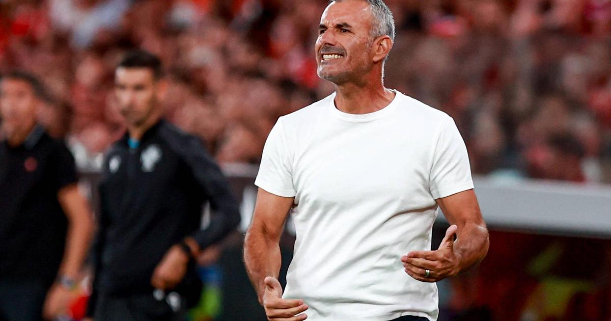 Ivo Vieira: «A cara de quem ganha nunca é igual à cara de quem perde ...