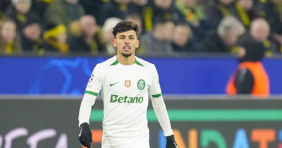 Sporting: Biel espera 'prendas' no aniversário | A Bola