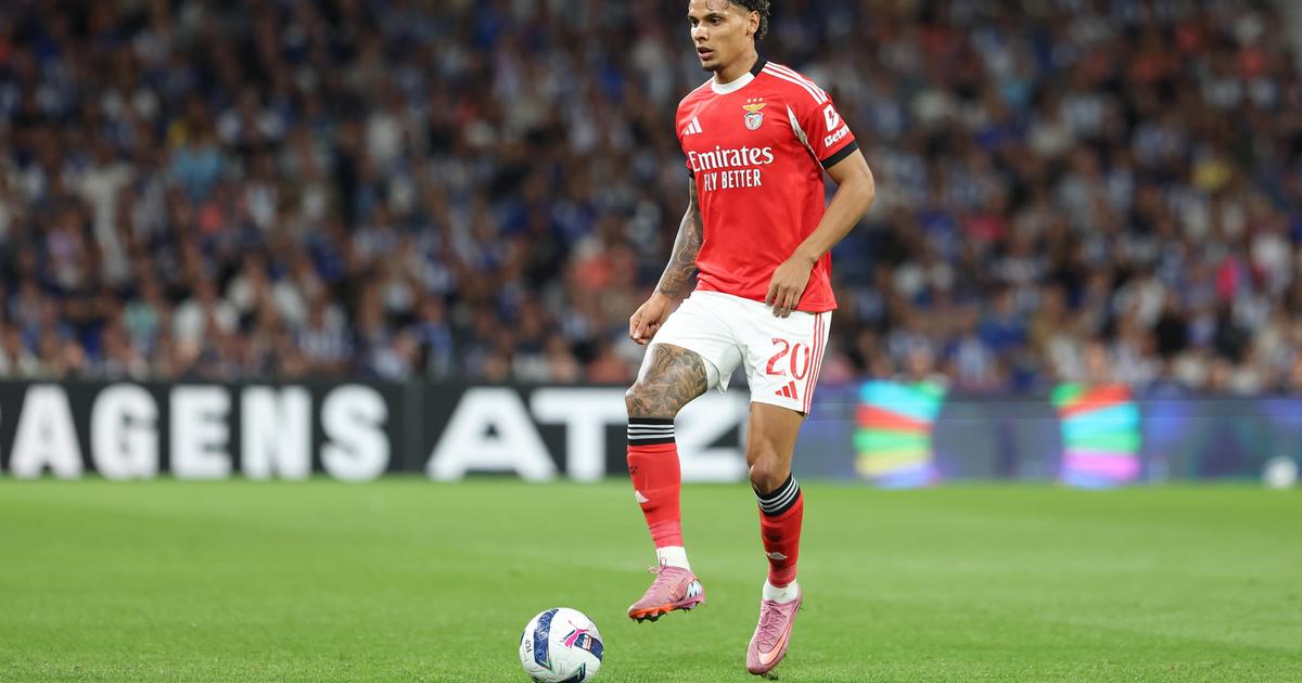 «Ríos no Benfica está a anos luz do Richard Ríos do Palmeiras» | A Bola