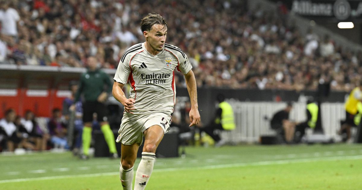 Benfica defender Amar Dedic sustains knee injury | News Minimalist