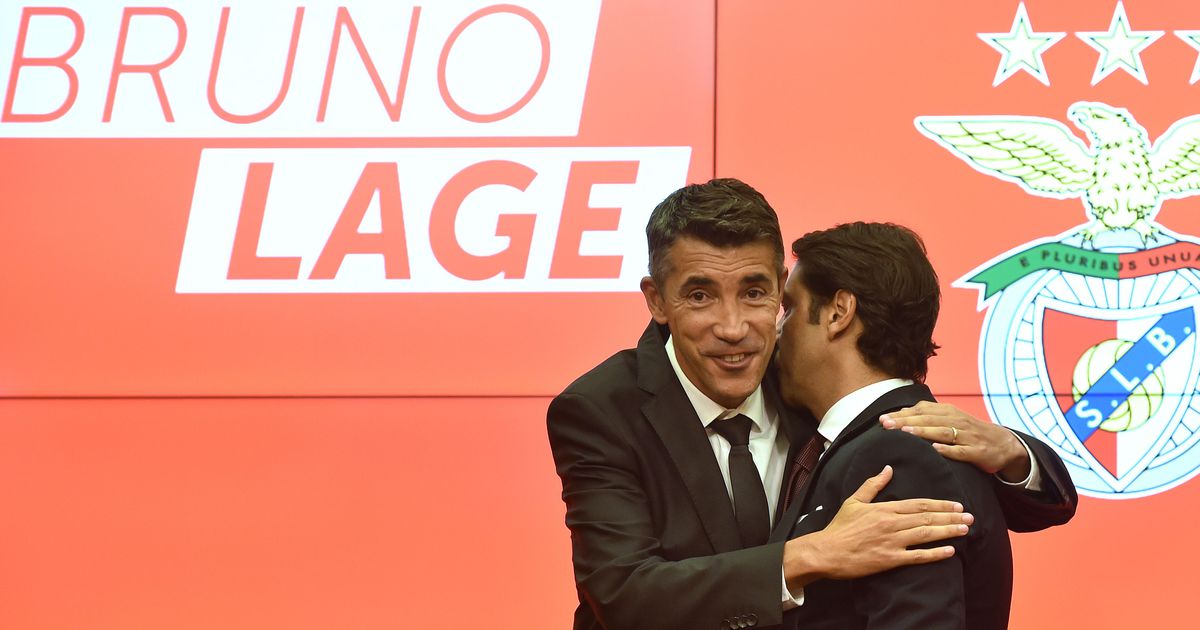 A amizade, o desgaste azeri e Mário Branco: Rui Costa abre o livro ...