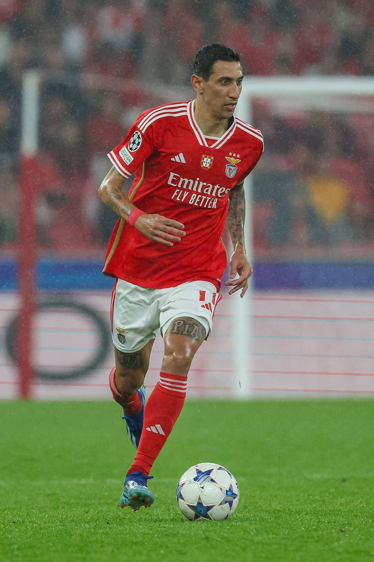 Comentários - «Regresso de Di María? Não me fixo em datas» | Abola.pt