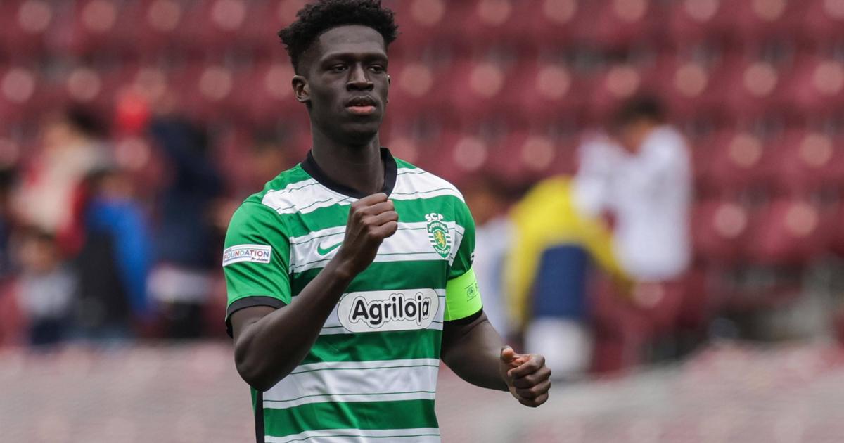OFICIAL: Chico Lamba deixa Sporting e reforça Arouca | A Bola