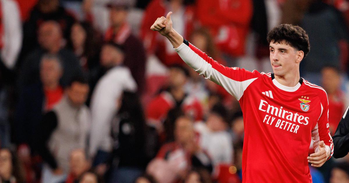 Benfica: Manu Silva vai ser aposta | A Bola