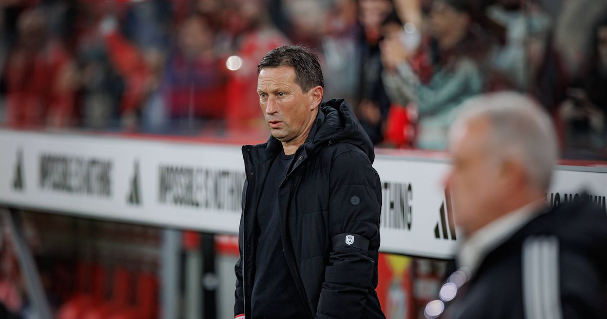 Roger Schmidt: «Musa é um jogador muito importante» | A Bola