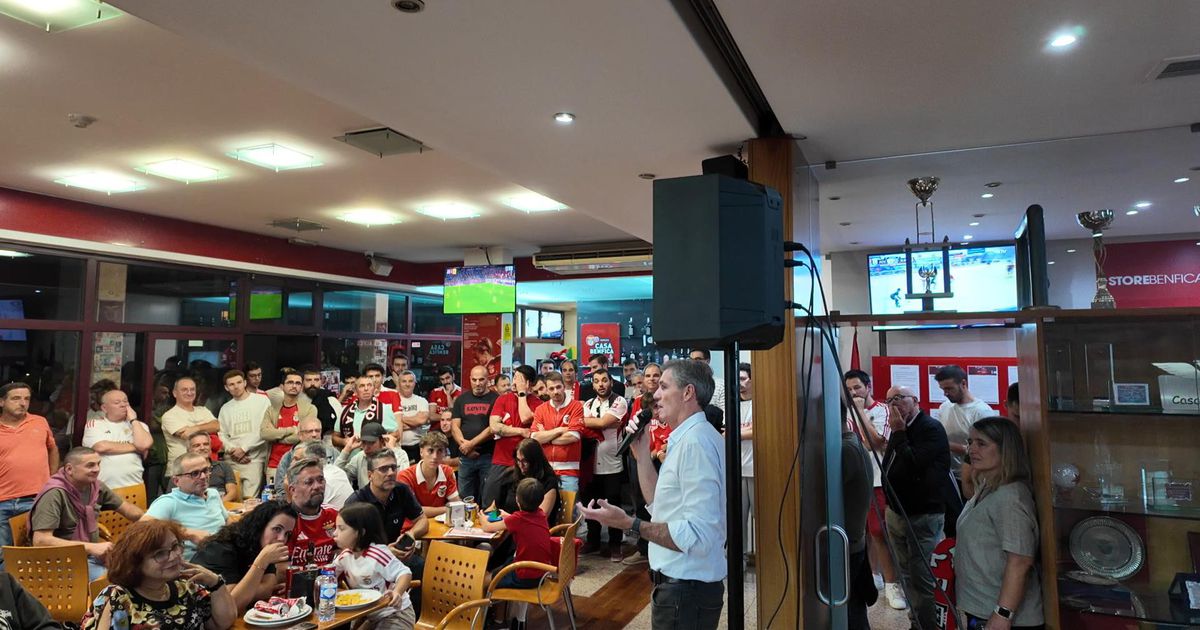 «Se ganhar um campeonato em quatro não volto a candidatar-me a presidente do Benfica» | A Bola