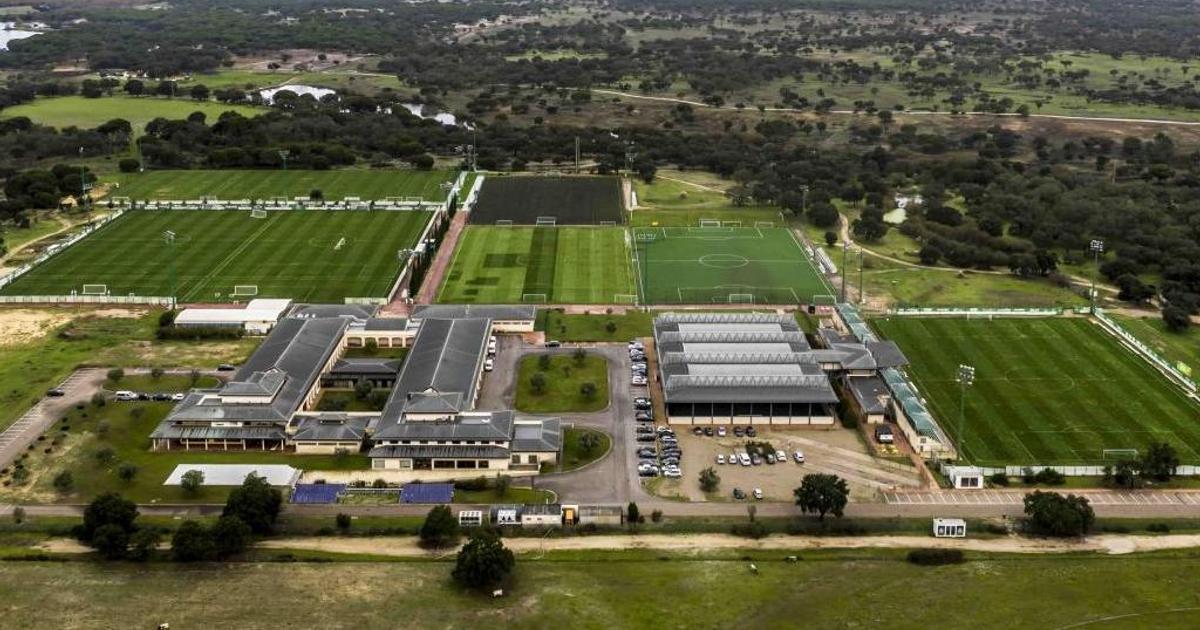 Sporting: Academia de Alcochete repete selo cinco estrelas | A Bola