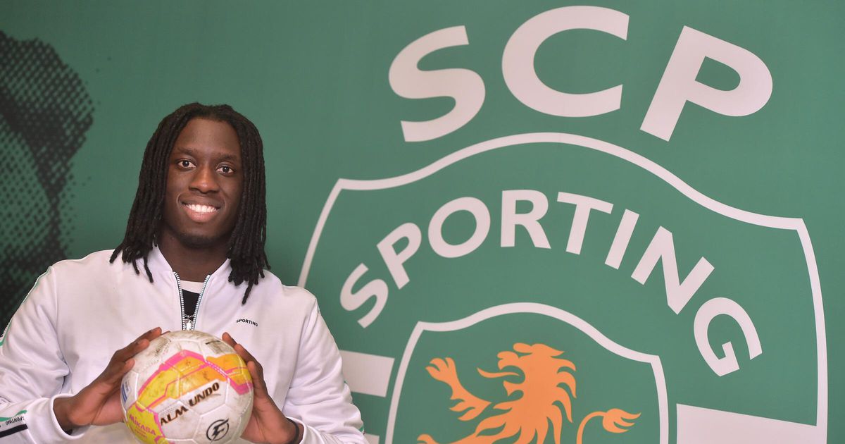 Zicky Té e as baixas: «Isto é o Sporting, não nos justificamos com as ...