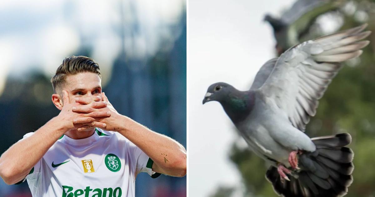 Pombo Gyokeres dá título mundial a Portugal | A Bola