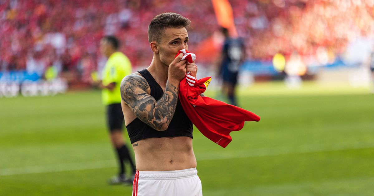 Grimaldo: «Desde que entrei no estádio que me sinto diferente» | A Bola