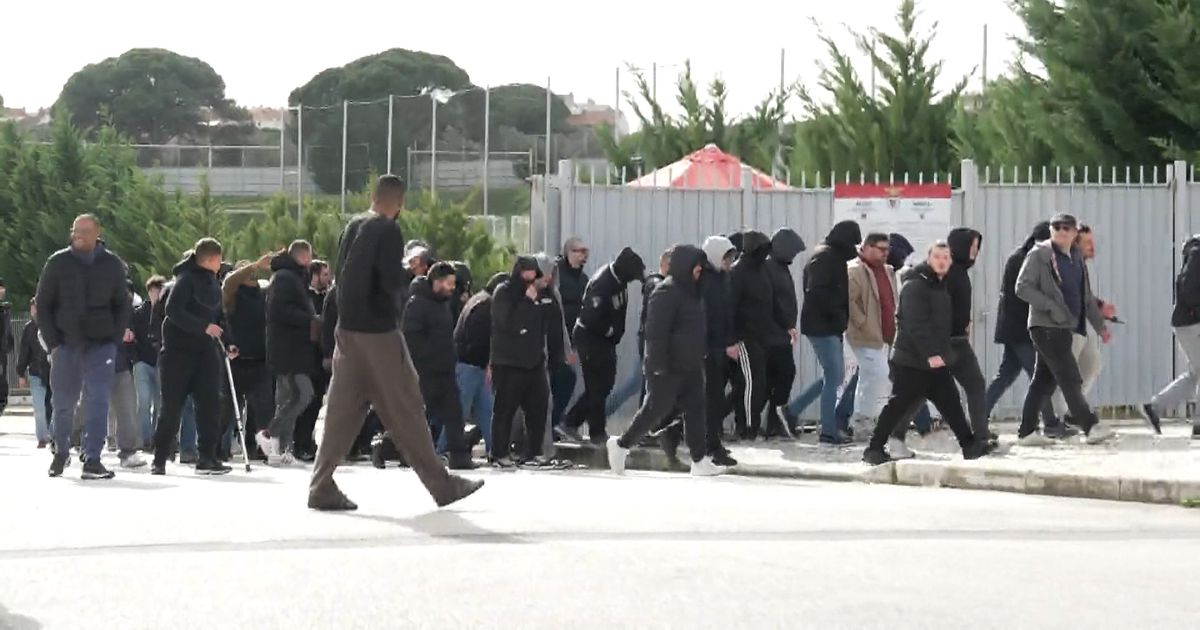 Tudo sobre o que se passou no Seixal: da suspeita do Benfica à mensagem ...