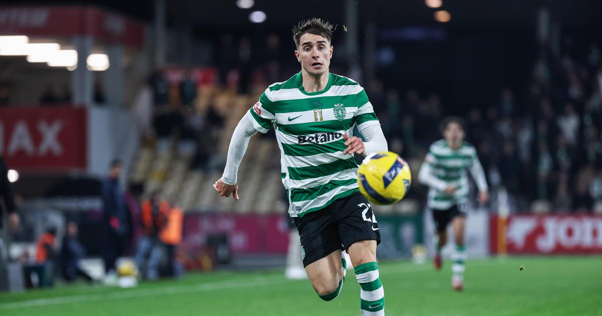 Sporting: Inglaterra aperta o cerco por Fresneda e já há abordagens | A ...