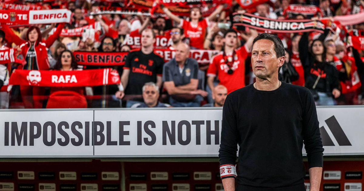 Rui Pedro Braz recorda sucesso no Benfica com Roger Schmidt: «Treinador ...