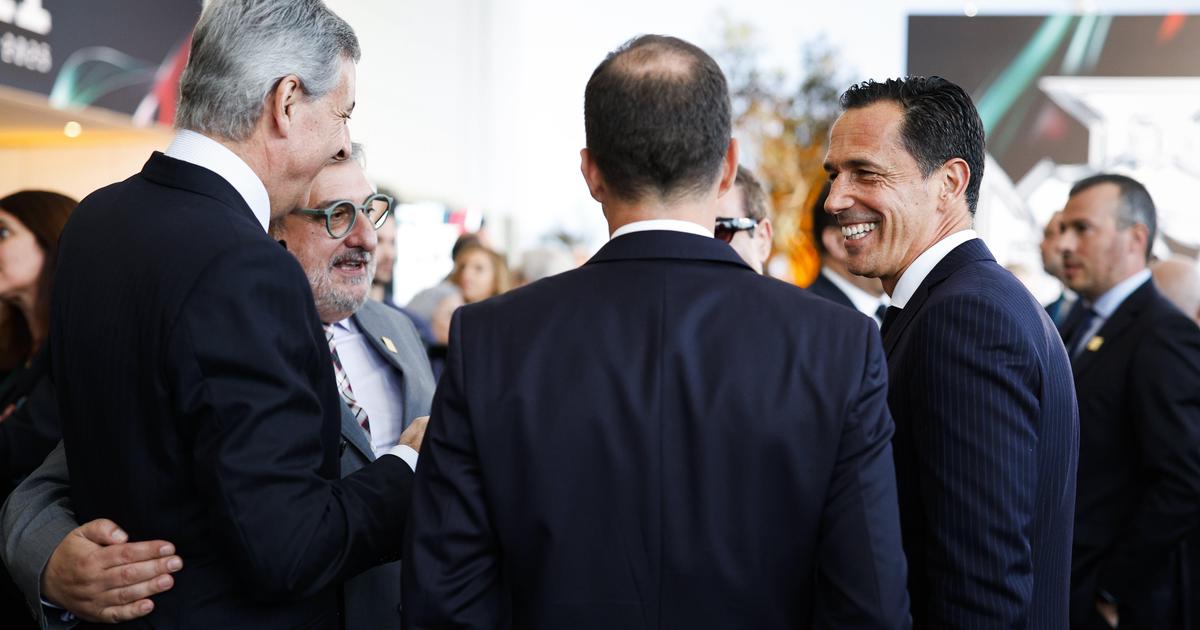 Pedro Proença: «Seremos intransigentes na seriedade e credibilidade ...
