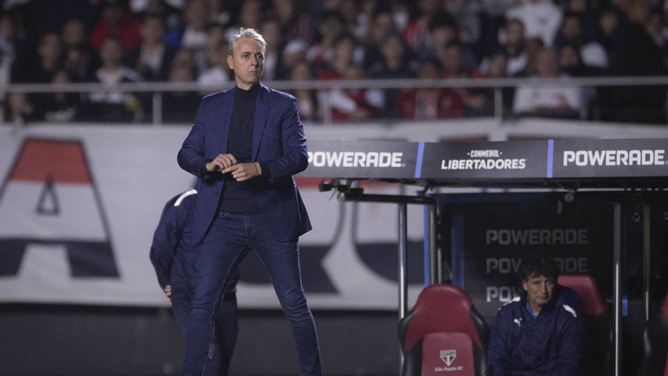 Treinador da LDU Quito critica sintético do Palmeiras: «Parece pátio de ...