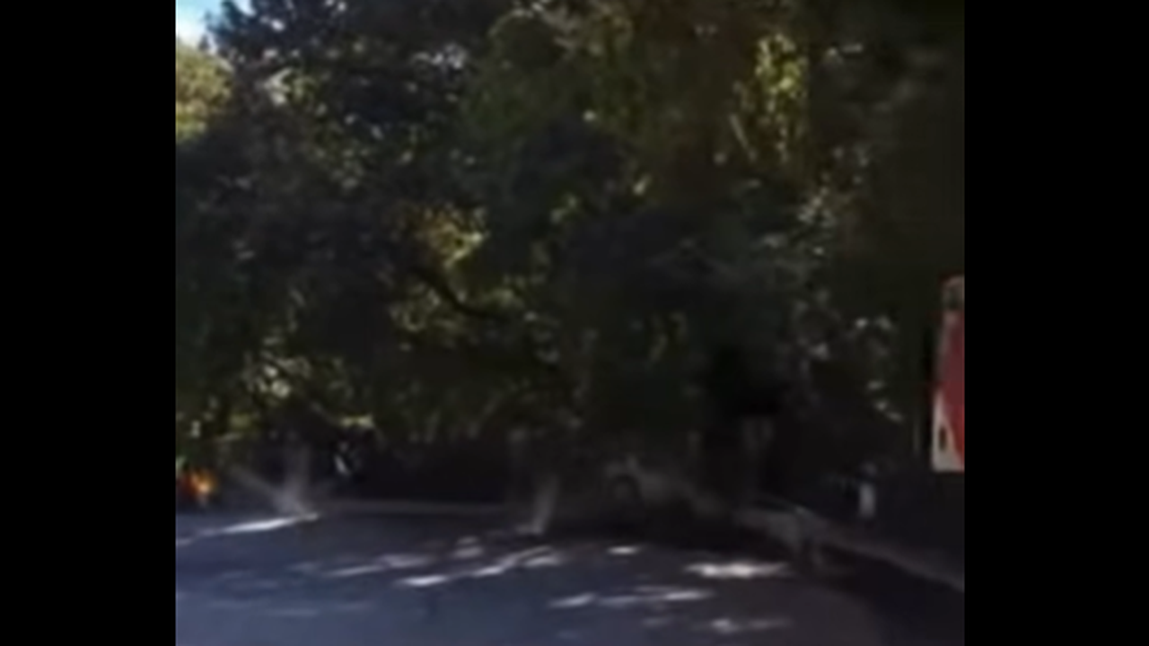 Кръвните проби на пилота Нейко Нейков готови до края на деня Новини бг