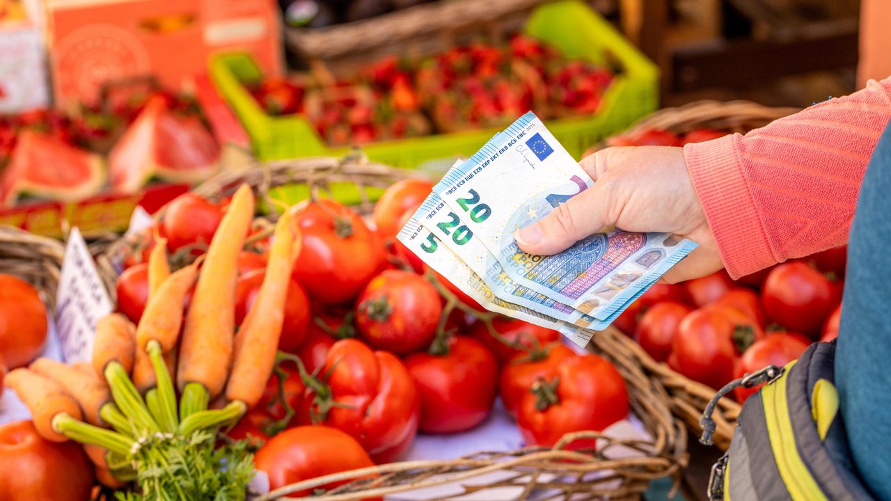 „Честни цени“: как BILLA гарантира спокоен преход към еврото | Новини.бг