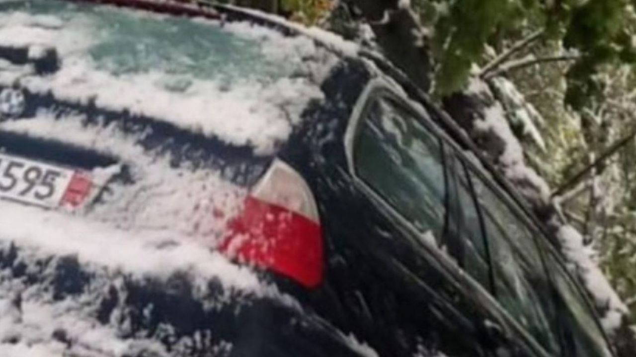 Инцидент на Витоша Автомобил излетя от пътя и падна в дере Новини бг