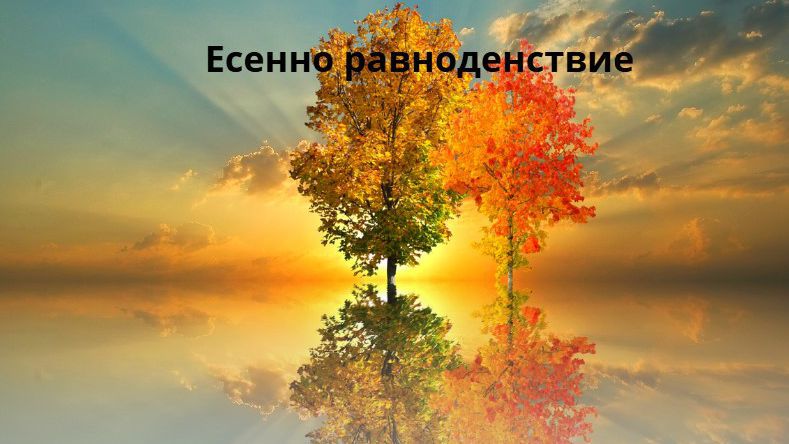 Есенно равноденствие – златна есен, златни листи рони | Новини.бг