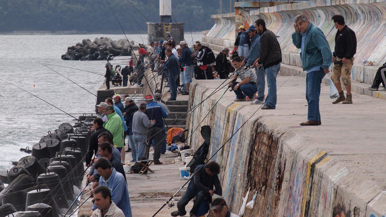 Шефът на Агенцията по рибарство подаде оставка Новини бг