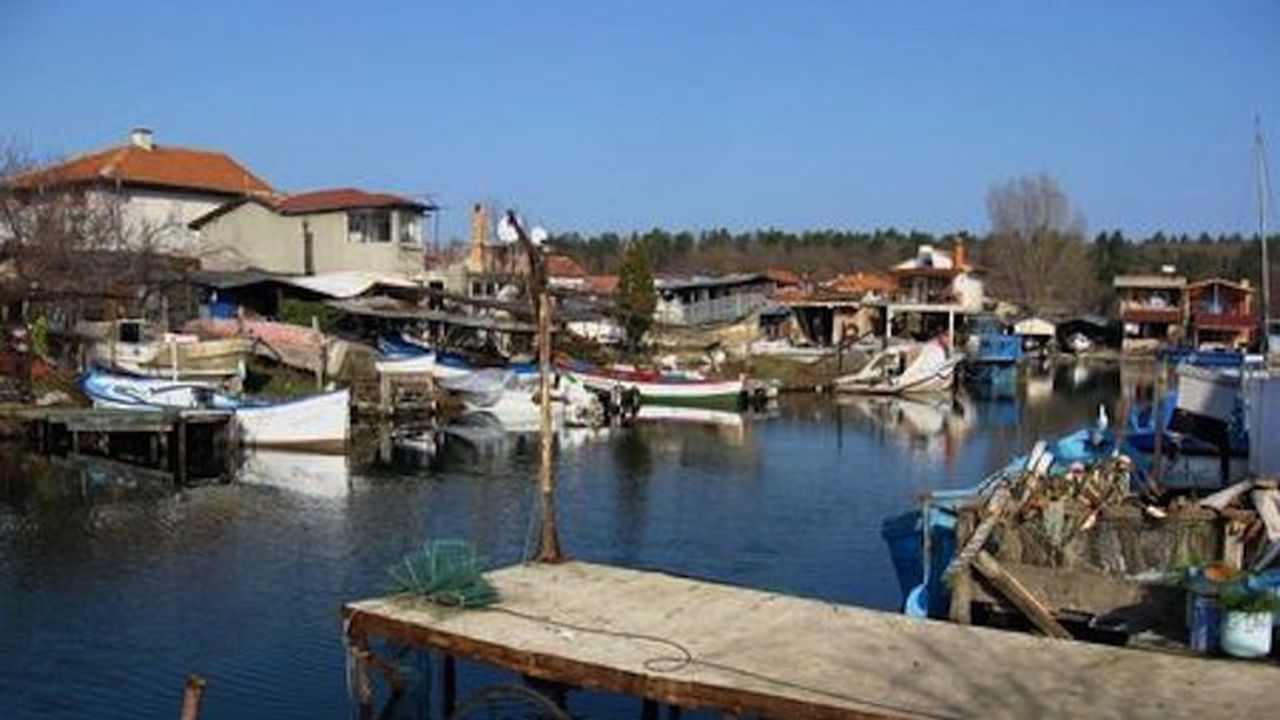 Варна и Бургас във война за Агенцията по рибарство Новини бг