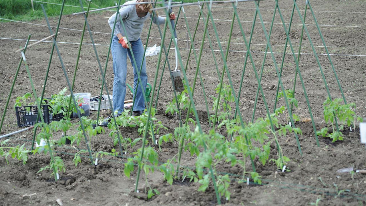 Нови проекти за 17 млн лв за селските райони Новини бг