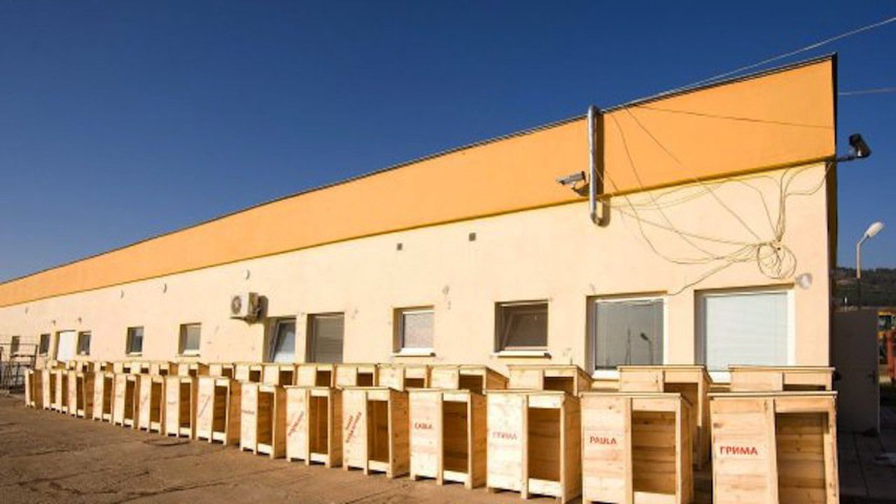 В Благоевград стартира изграждането на приют за бездомни кучета Новини бг