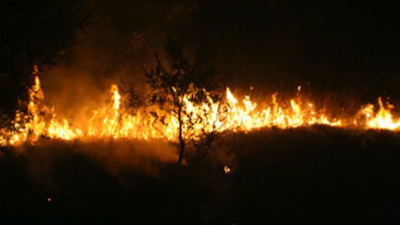 Пожарът край Свиленград е обхванал нови 2 000 дка гори Новини бг