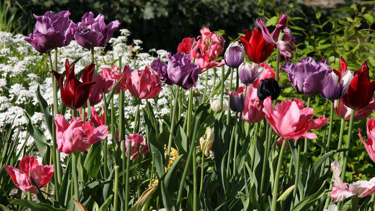 Мръсни води се изливат в Ботаническата градина в Балчик Новини бг
