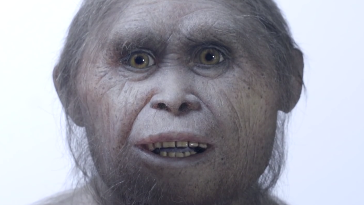 Учени откриха предшественици на хобитите на 700 000 години Новини бг