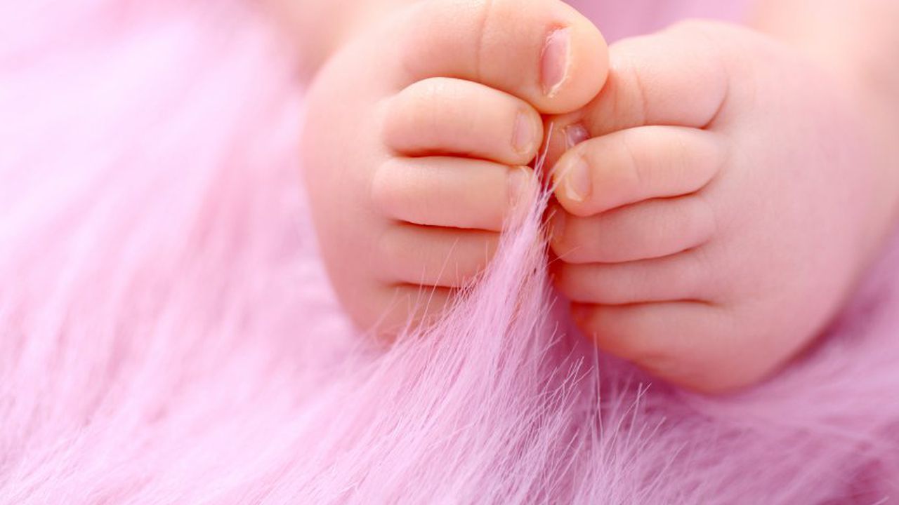 Екипът на Novini.bg се увеличи | Новини.бг