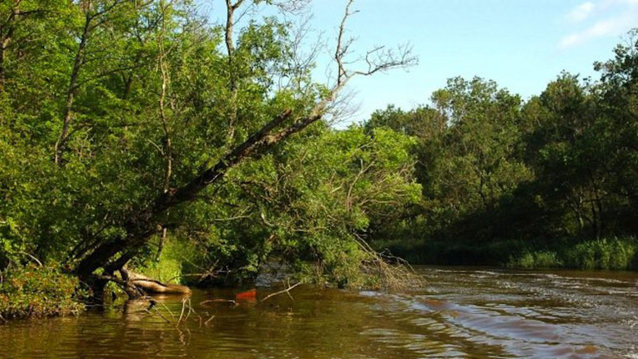 Очакват се повишения в нивата на Струма и Места Новини бг