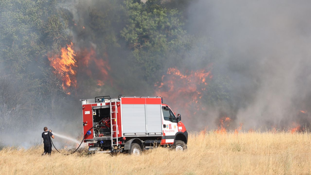 Овладян е пожарът в местността Бакаджика край Ямбол Новини бг