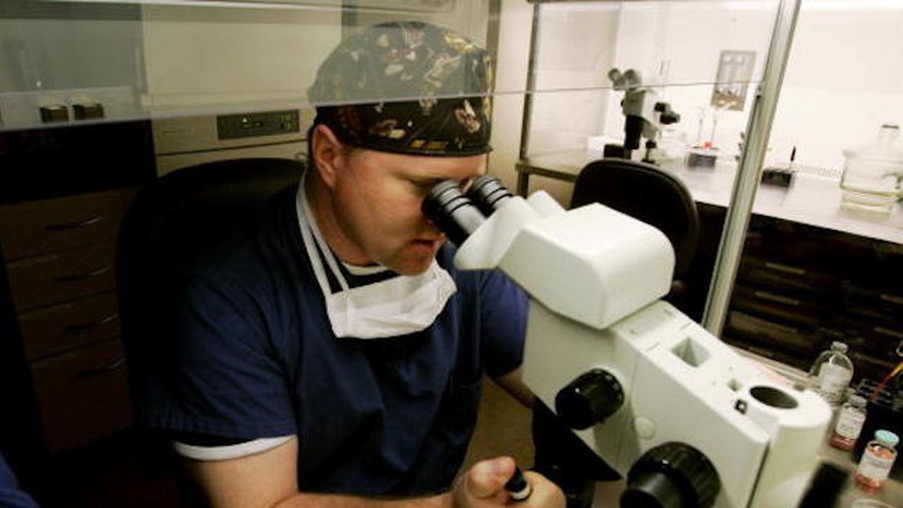 Безплатни изследвания за ХИВ и хепатит в Разград Новини бг