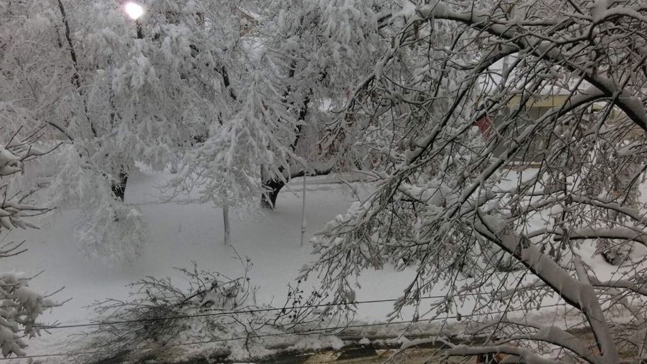 Снегът блокира и Русе в Разград е обявено бедствено положение Новини бг
