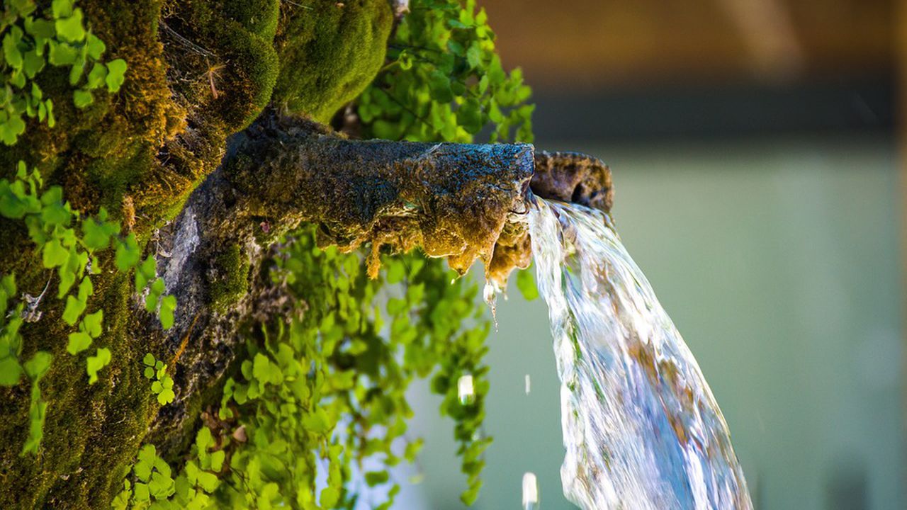 В Димитровград ще има чешма паметник посветена на хора които чрез донорство са дарили живот