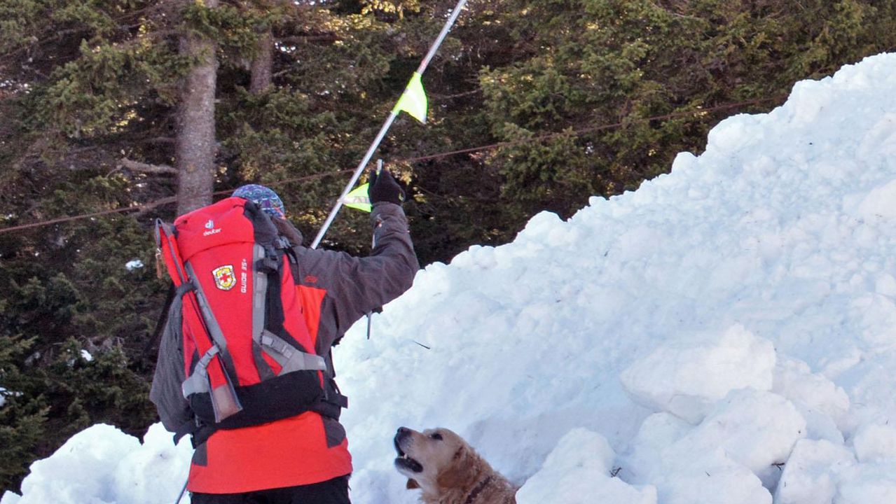 Спасителни екипи търсят загубил се турист в Родопите Новини бг