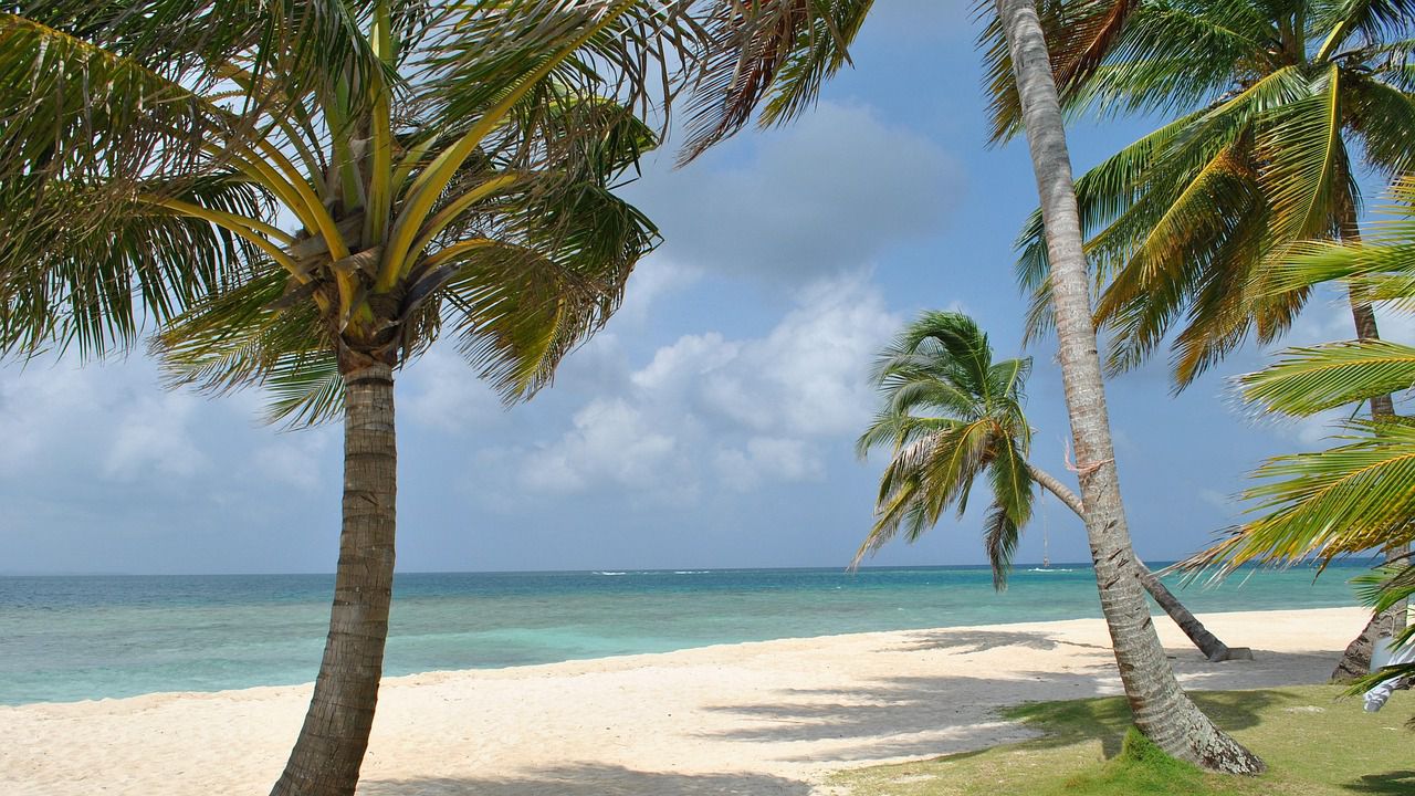 Малките тихоокеански държави притиснати между Запада и Китай Новини бг