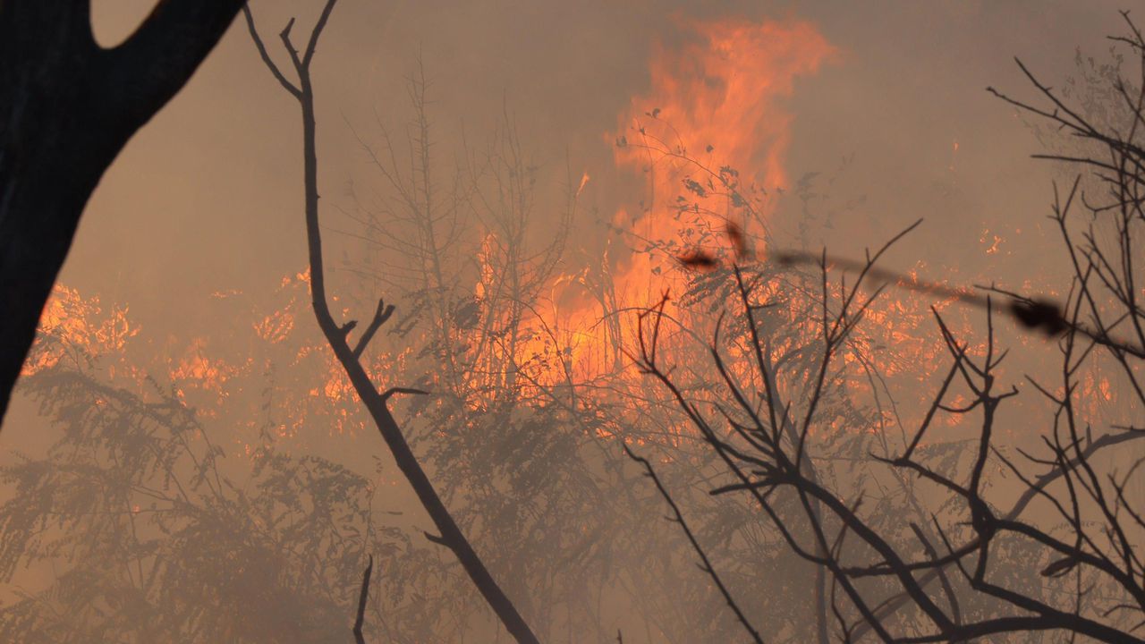 Частично бедствено положение остава в сила за шест села от Община Тунджа Новини бг