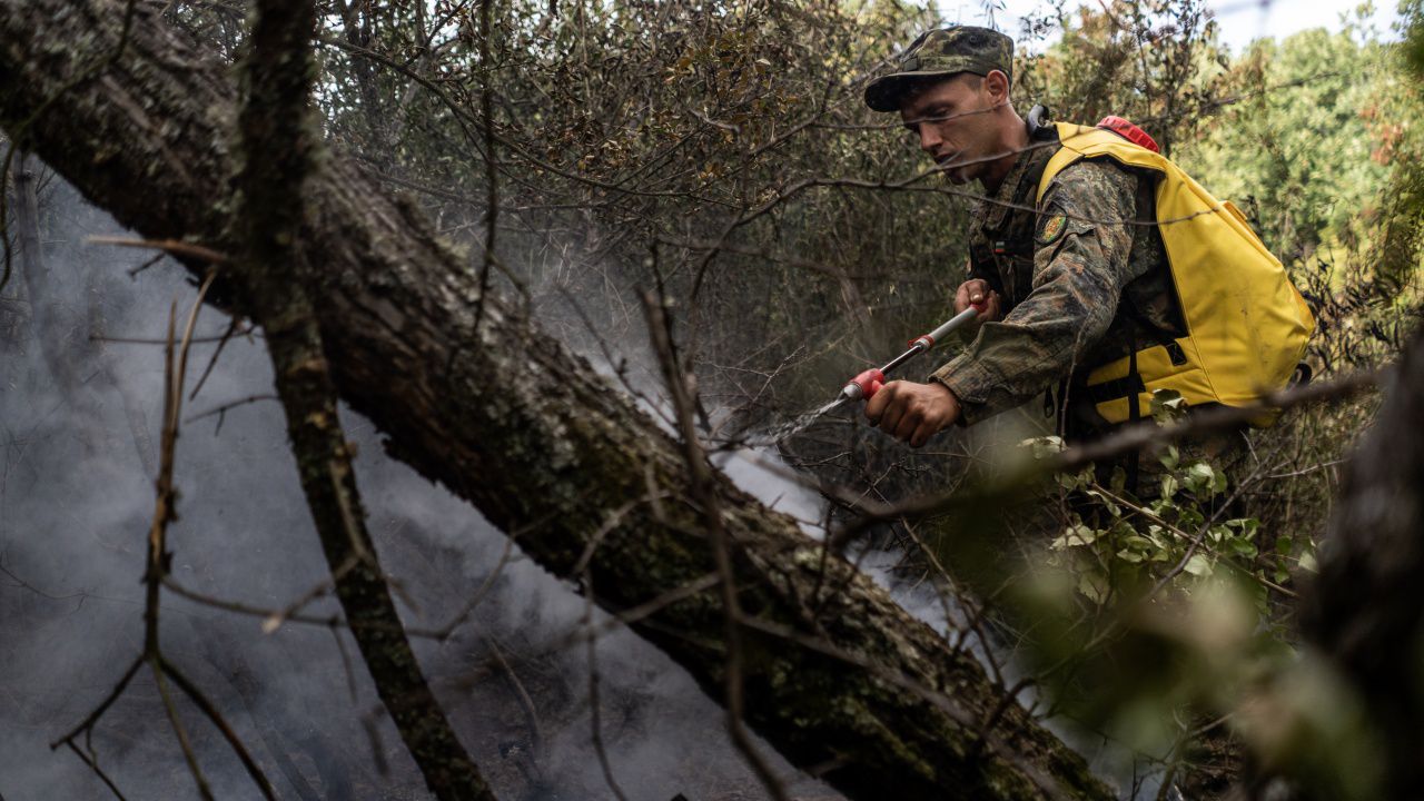 Локализиран е пожарът в Сакар планина Новини бг