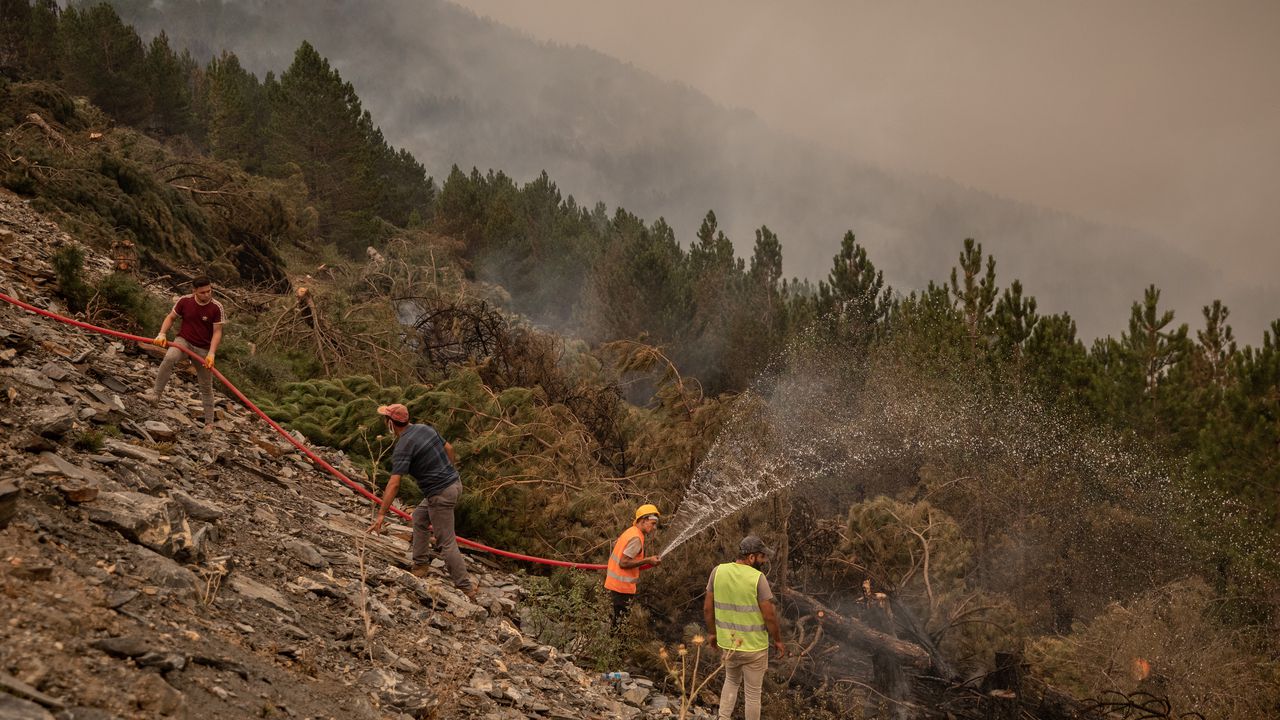Четирима души са задържани за пожарите които обхванаха турския окръг Чанаккале Новини бг
