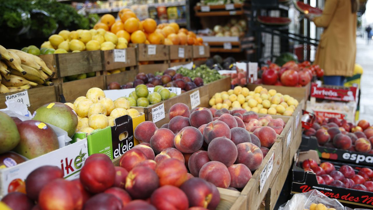 Българското земеделие навлиза в дълбока криза заради сушата Новини бг